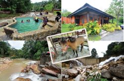 Lubuk Timah Hot Springs | Ipoh Echo