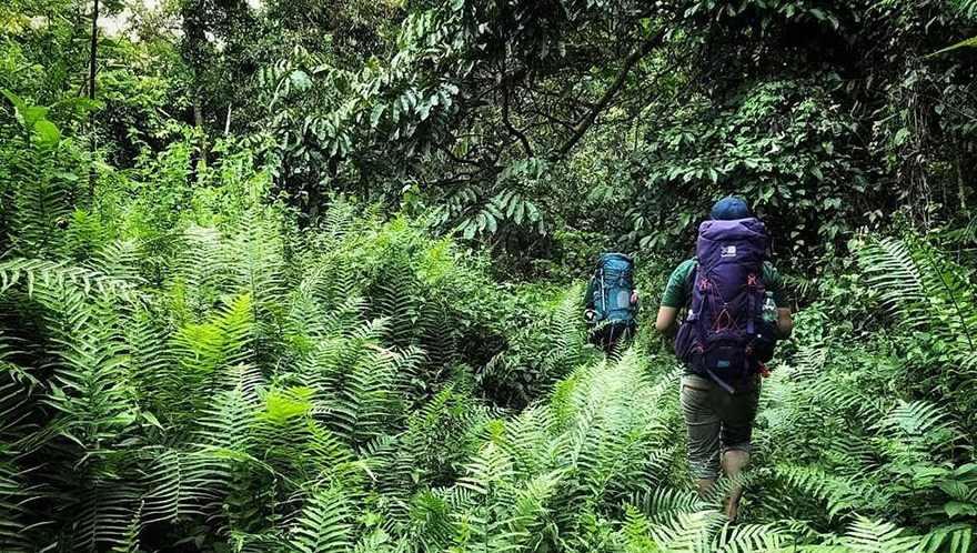 No Entrance Allowed Into Permanent Forest Reserves Until January 2021 ...