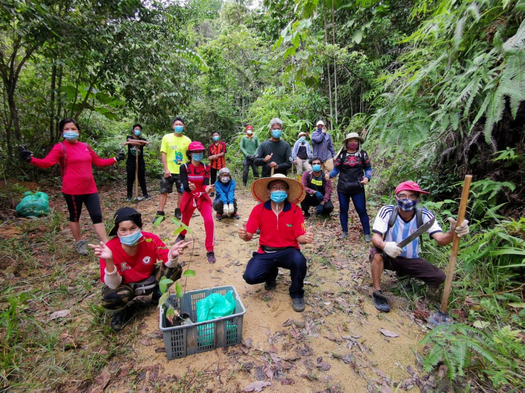 Volunteers Plant Trees at Buntong Waterfall | Ipoh Echo