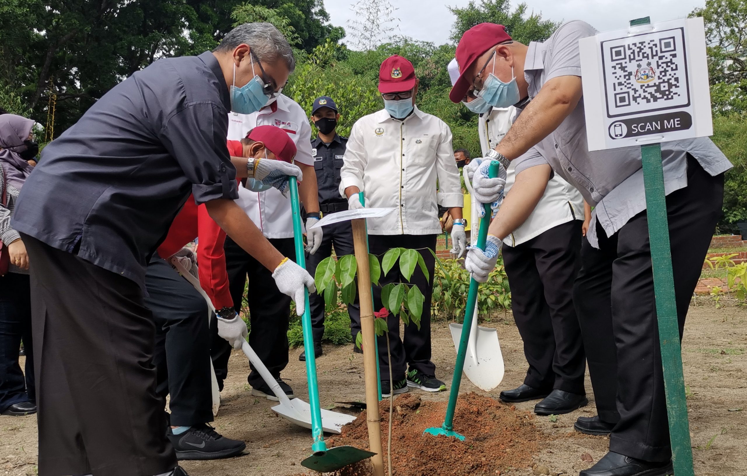 Reduce Urban Heat via Tree-Planting and Energy Efficiency | Ipoh Echo