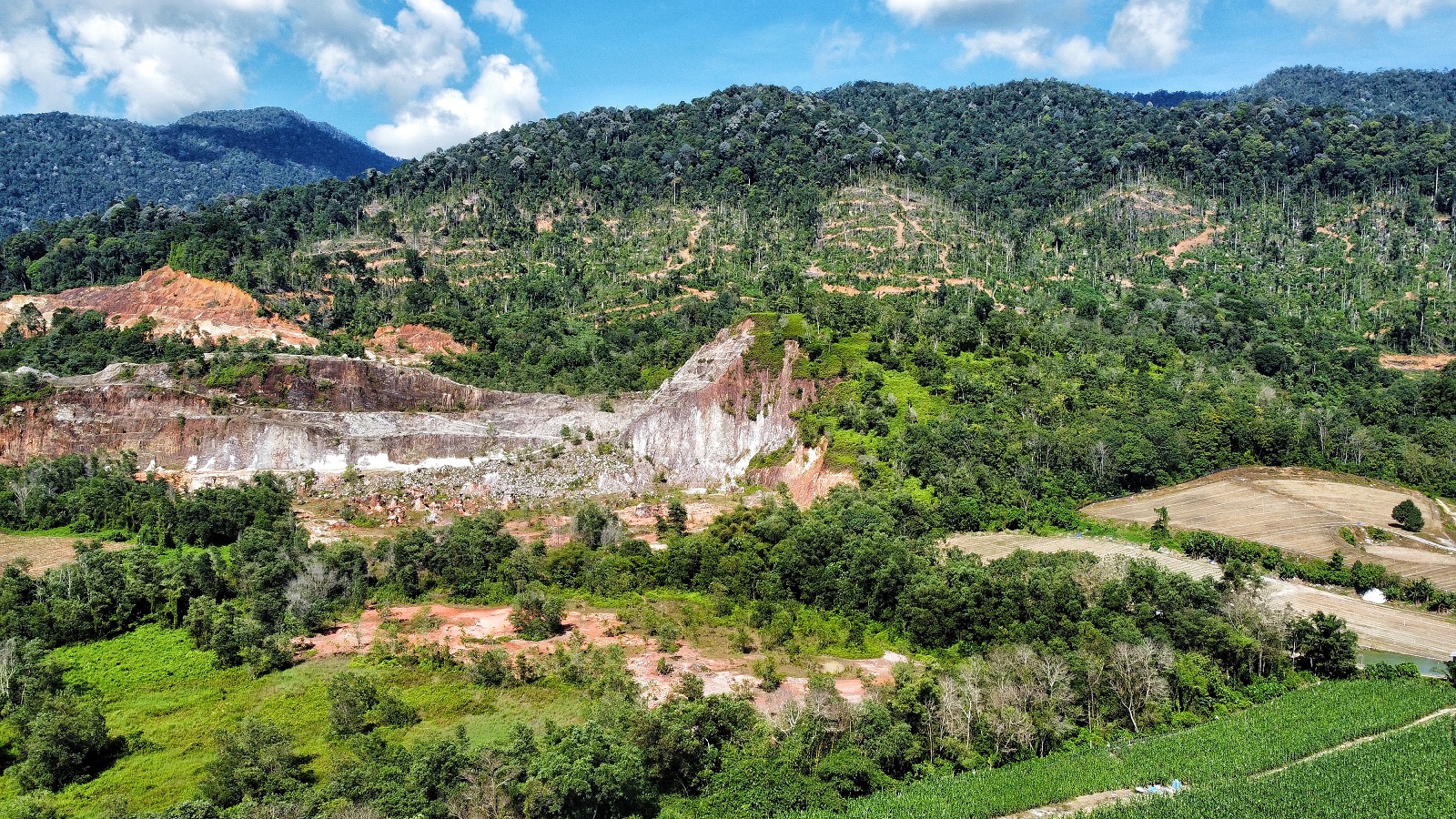 Kledang Saiong Forest Reserve | Ipoh Echo