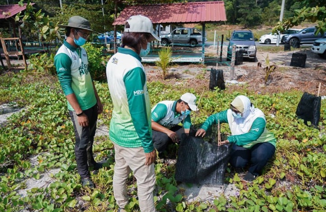 More Trees to Come for Planting in Ipoh to Sustain the Environment ...