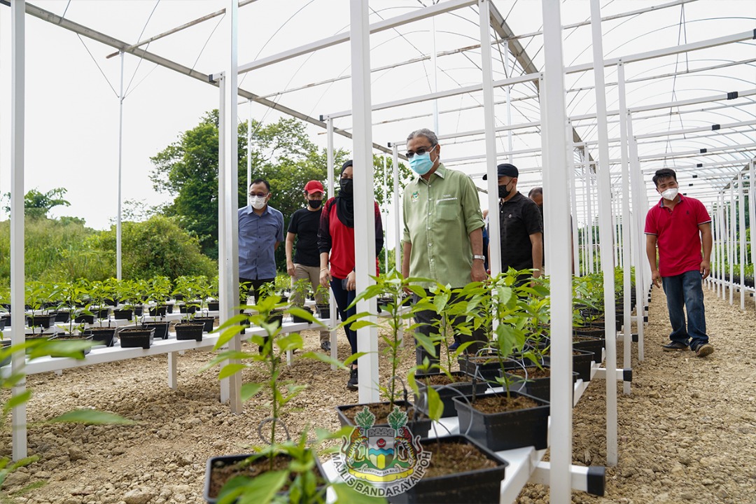 Urban Farming to Prevent Food Security Crisis | Ipoh Echo