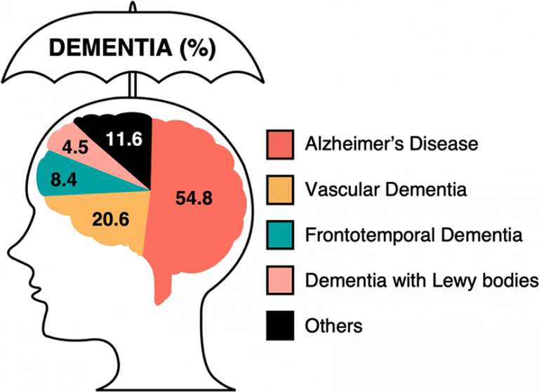Understanding Dementia | Ipoh Echo