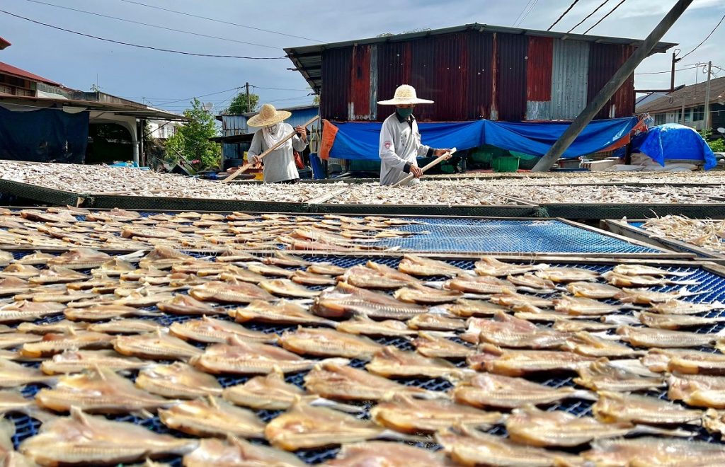 Add Kuala Kurau to Your Must-Visit List | Ipoh Echo