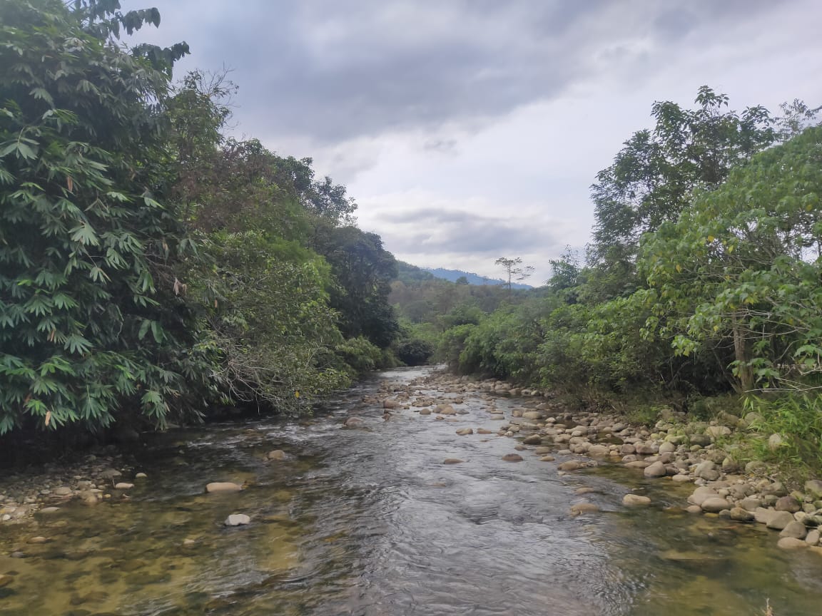 Ipoh Through Eugene's Eyes: Ulu Kinta Forest Reserve | Ipoh Echo