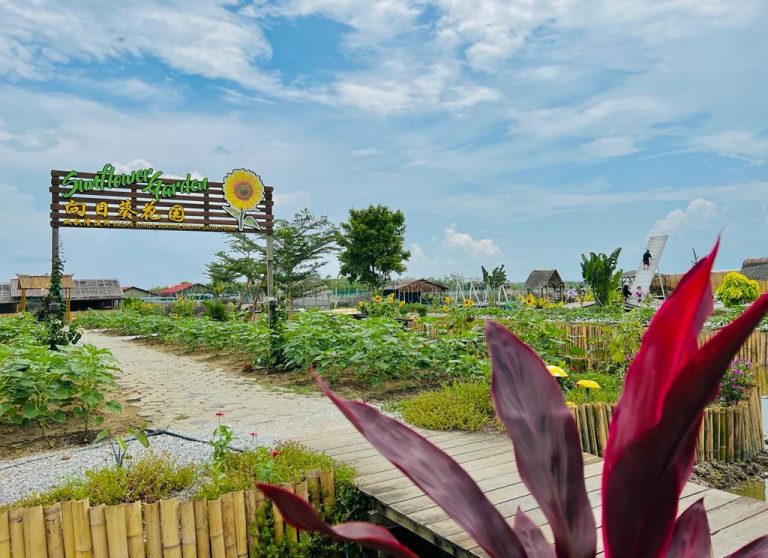 Much To Do in Bagan Datuk and Teluk Intan | Ipoh Echo