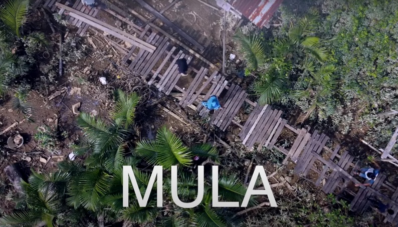 MULA by AKPK | Ipoh Echo