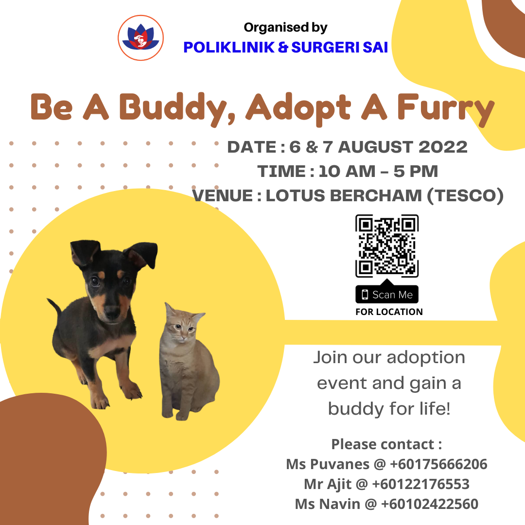Pet Adoption Drive at Lotus’s Bercham | Ipoh Echo