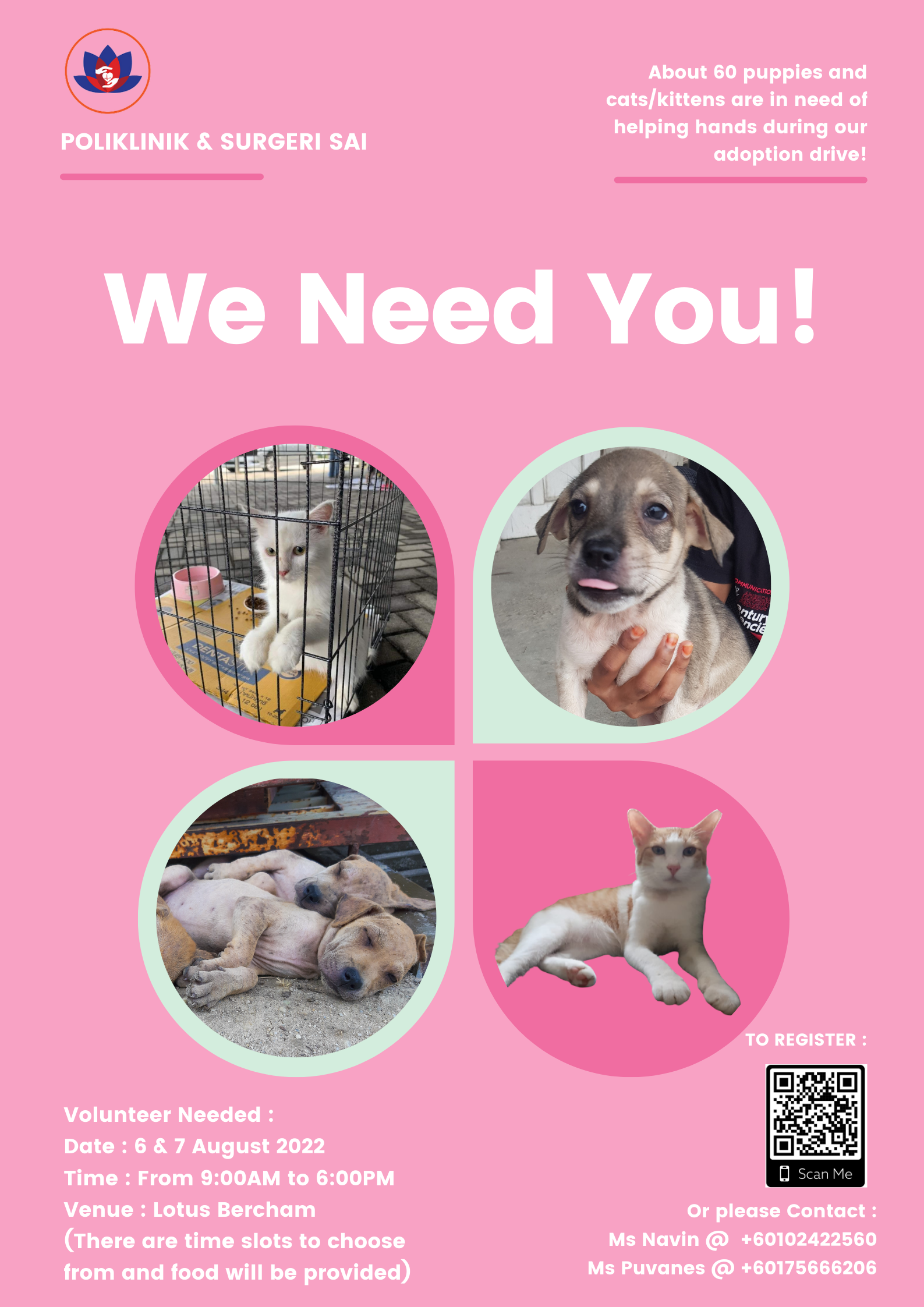 Pet Adoption Drive at Lotus’s Bercham | Ipoh Echo
