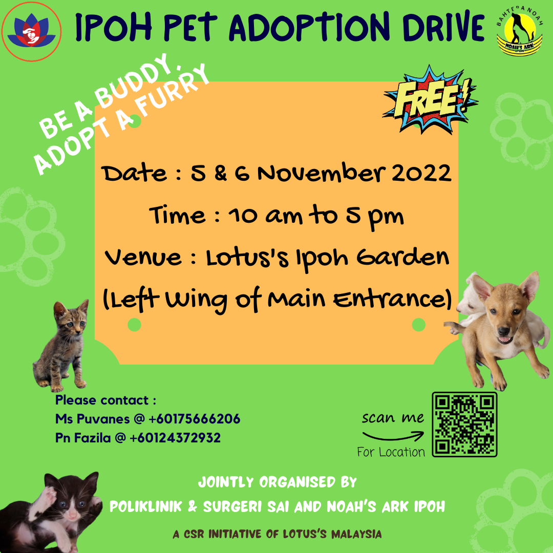 Pet Adoption Drive To Be Held At Lotus's Ipoh Garden | Ipoh Echo