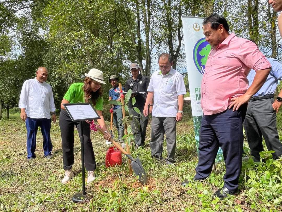 Protect the forest for future generations | Ipoh Echo