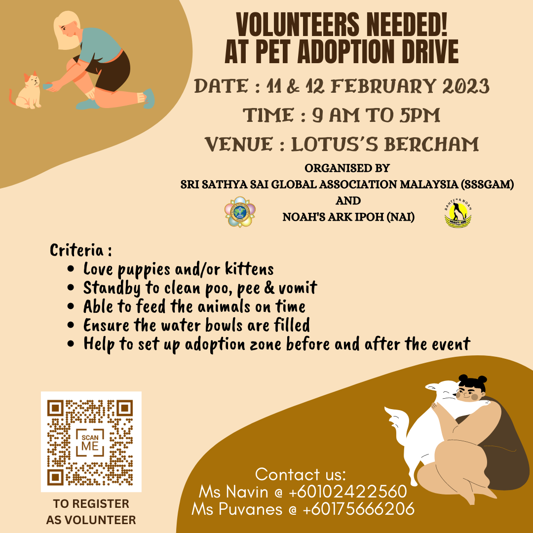 Ipoh Pet Adoption Drive at Lotus's Bercham | Ipoh Echo