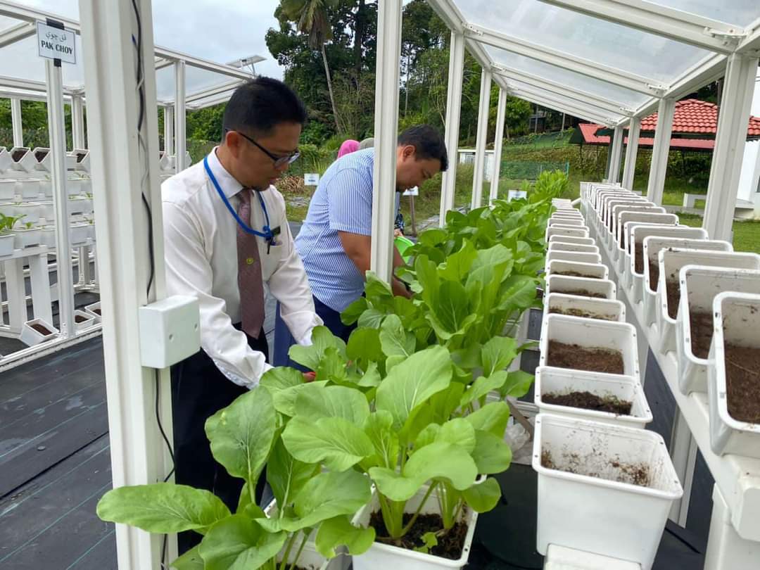 Urban agriculture programme | Ipoh Echo