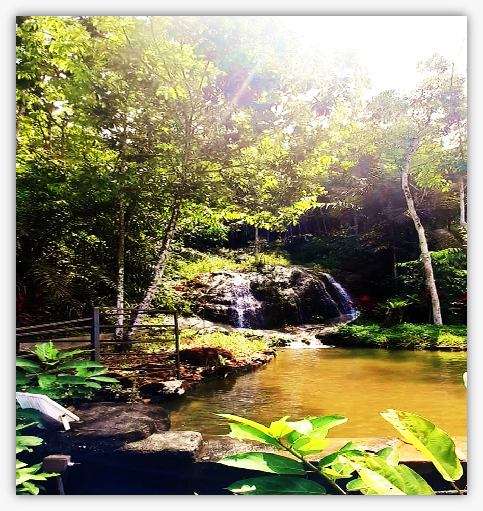 Escape the Heat and Explore the Fun | Ipoh Echo