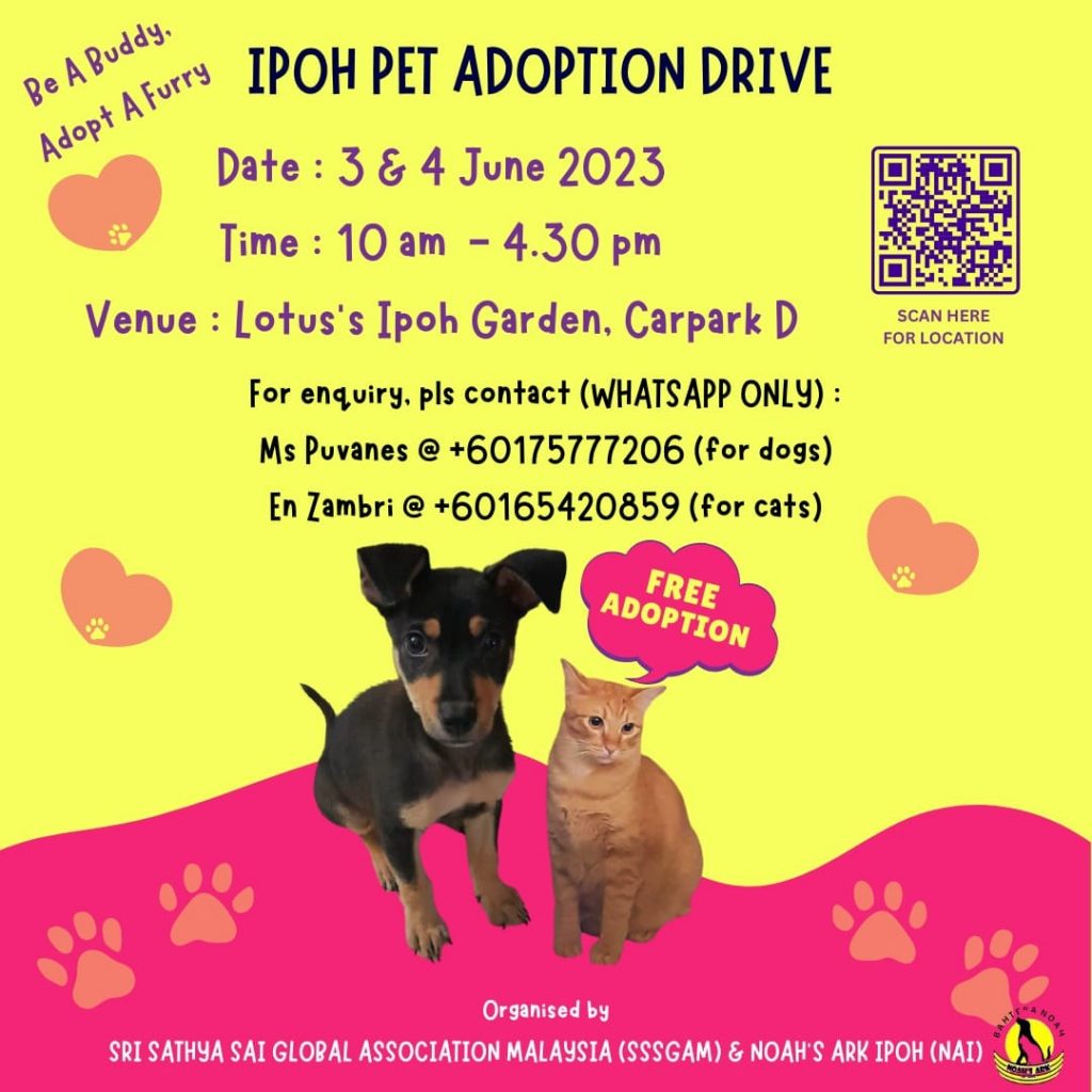 Pet Adoption At Lotus's Ipoh Garden | Ipoh Echo