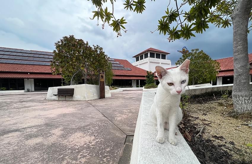 When will the Silveritage Complex Come Alive Again? | Ipoh Echo