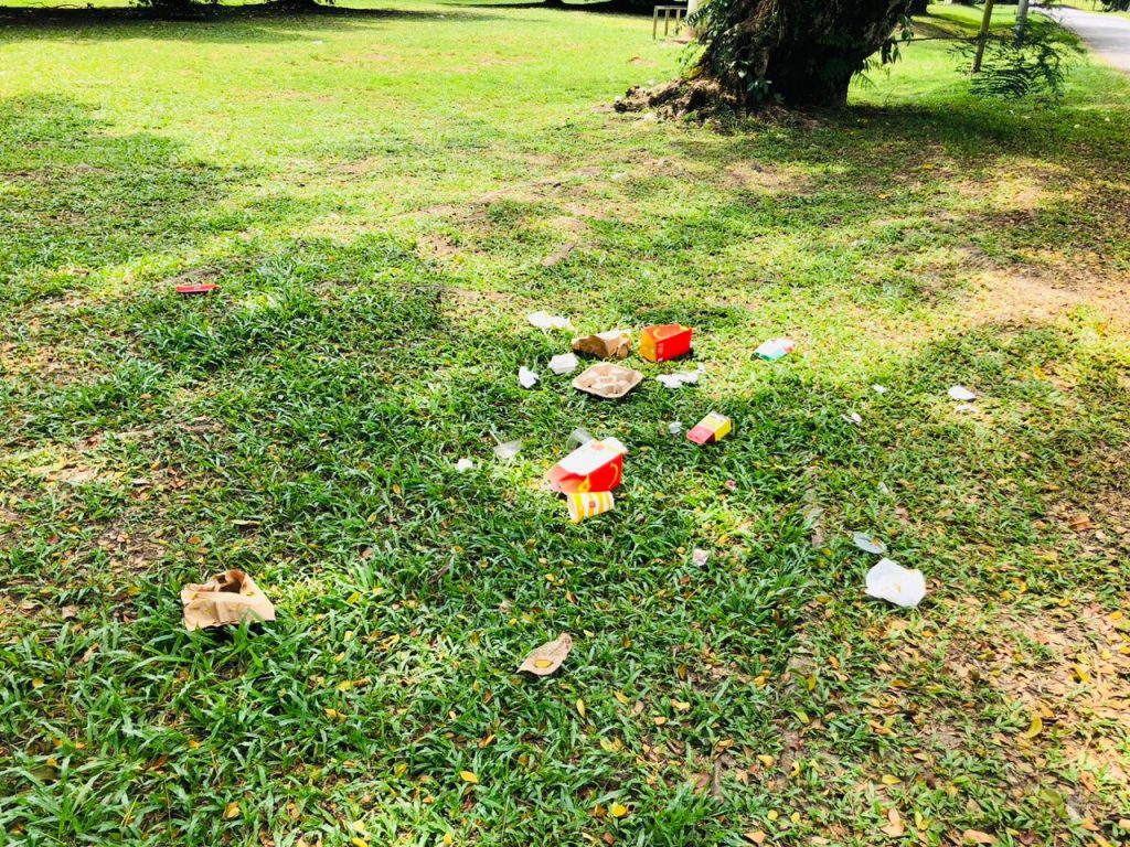 GARBAGE VIGILANTE: No sense of responsibility, throwing trash at ...