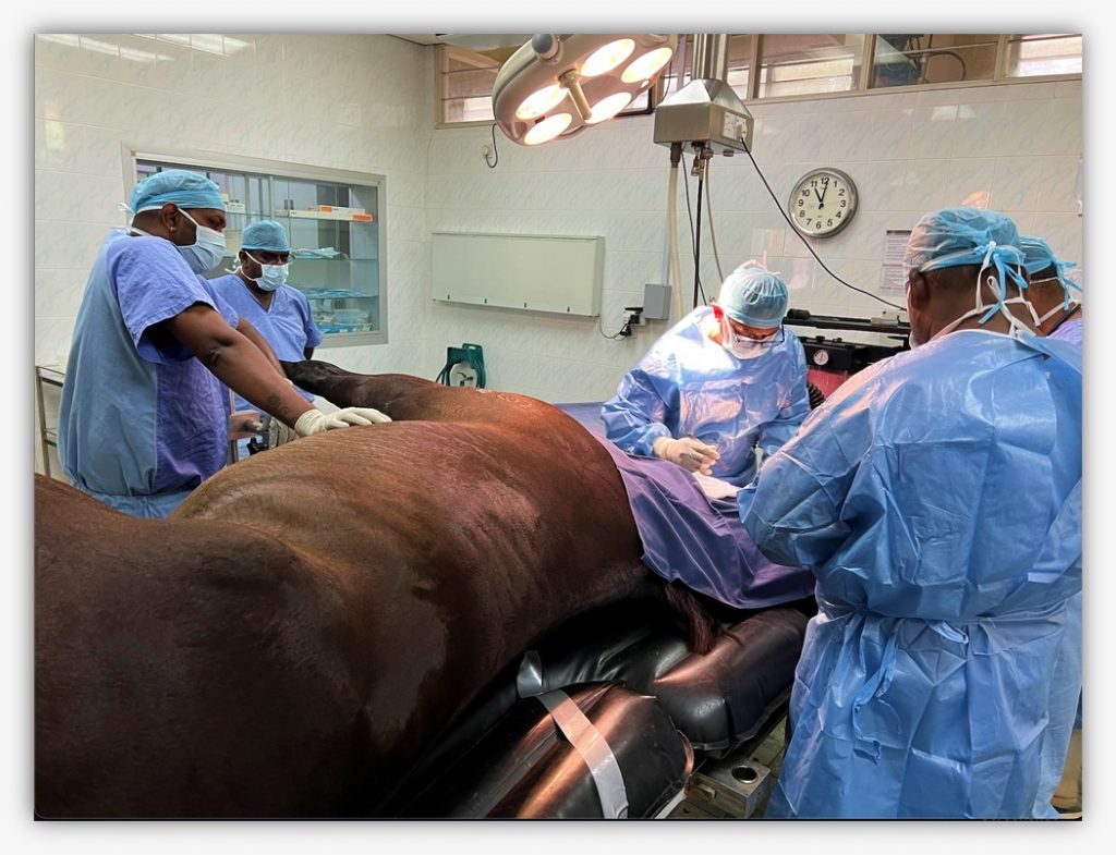 PRTC Equine Hospital | Ipoh Echo