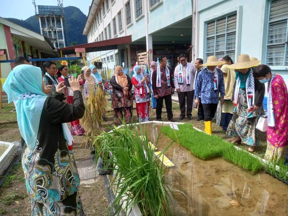 Perak SADC successfully executes the rice cultivation project at SK ...