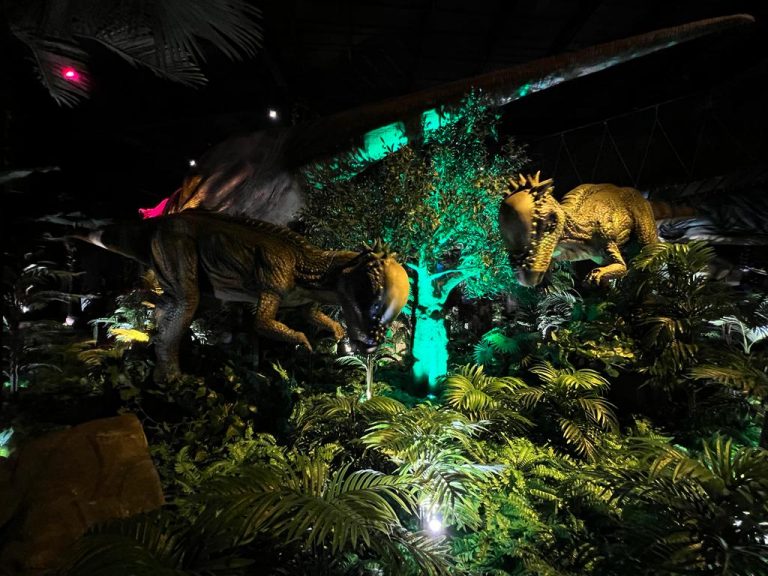 Dinosaur Encounter World Opens Its Gates to the Public | Ipoh Echo