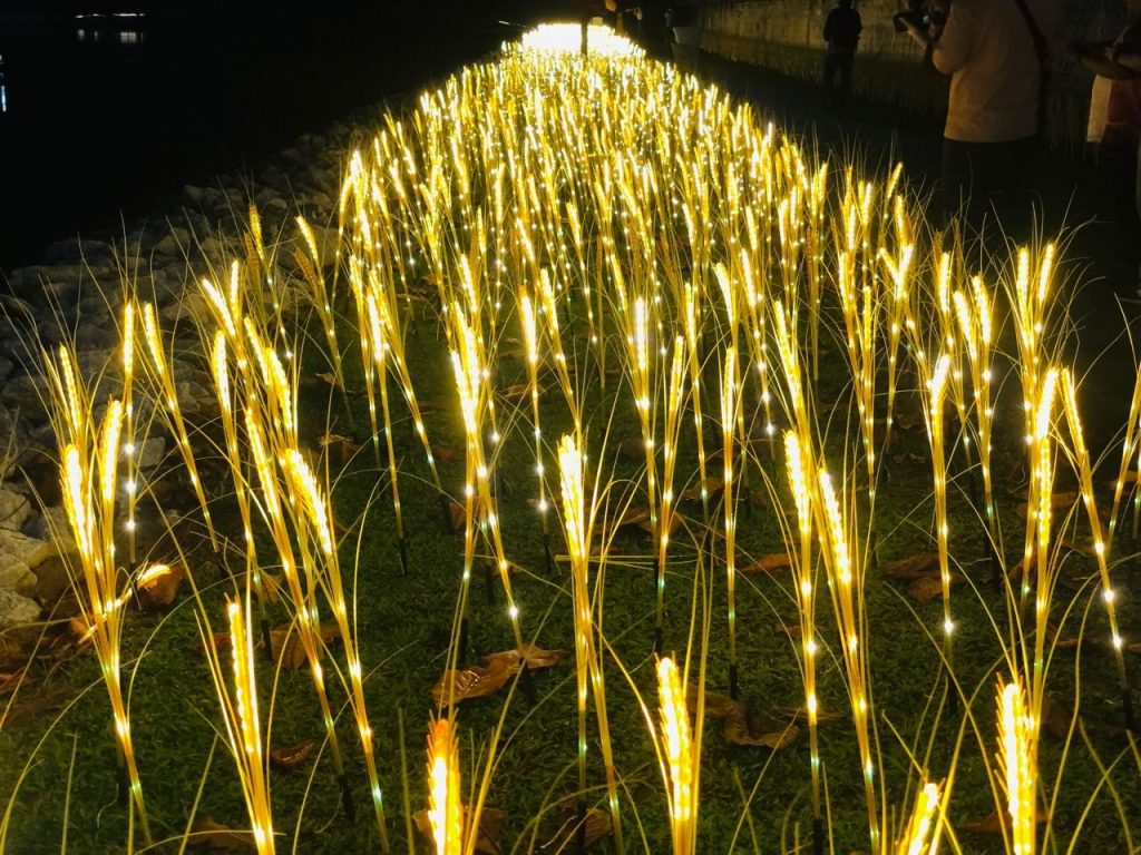 150,000 illuminated flower buds adorn the Flora Light Festival at ...