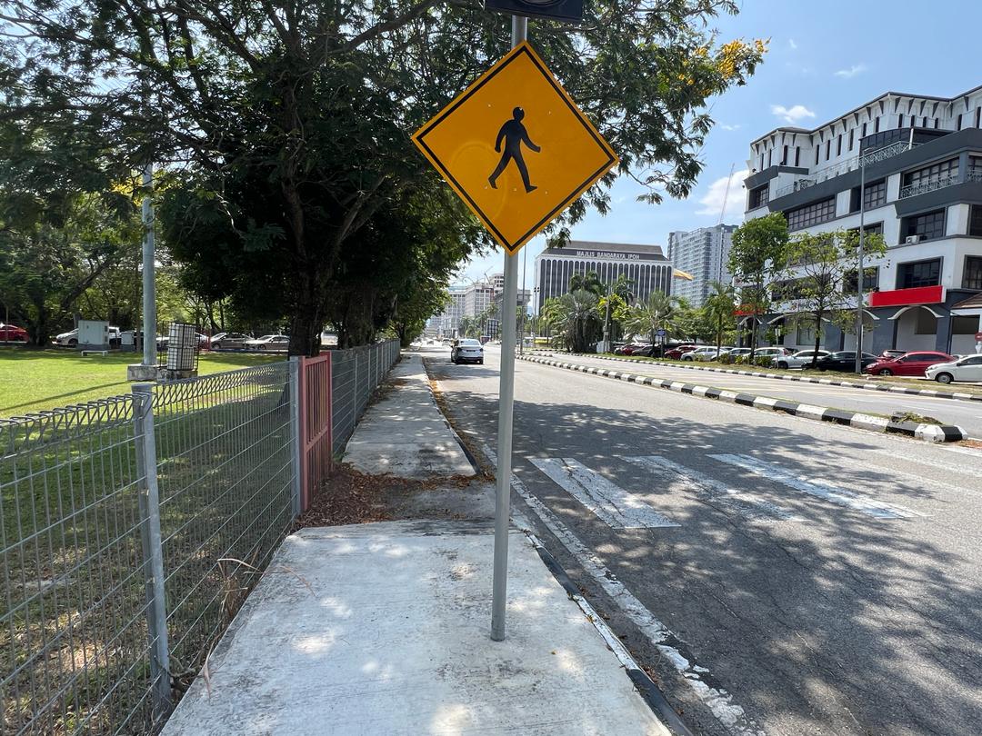 MBI Takes Swift Action to Clear Tree Branches Blocking Pedestrian Path ...