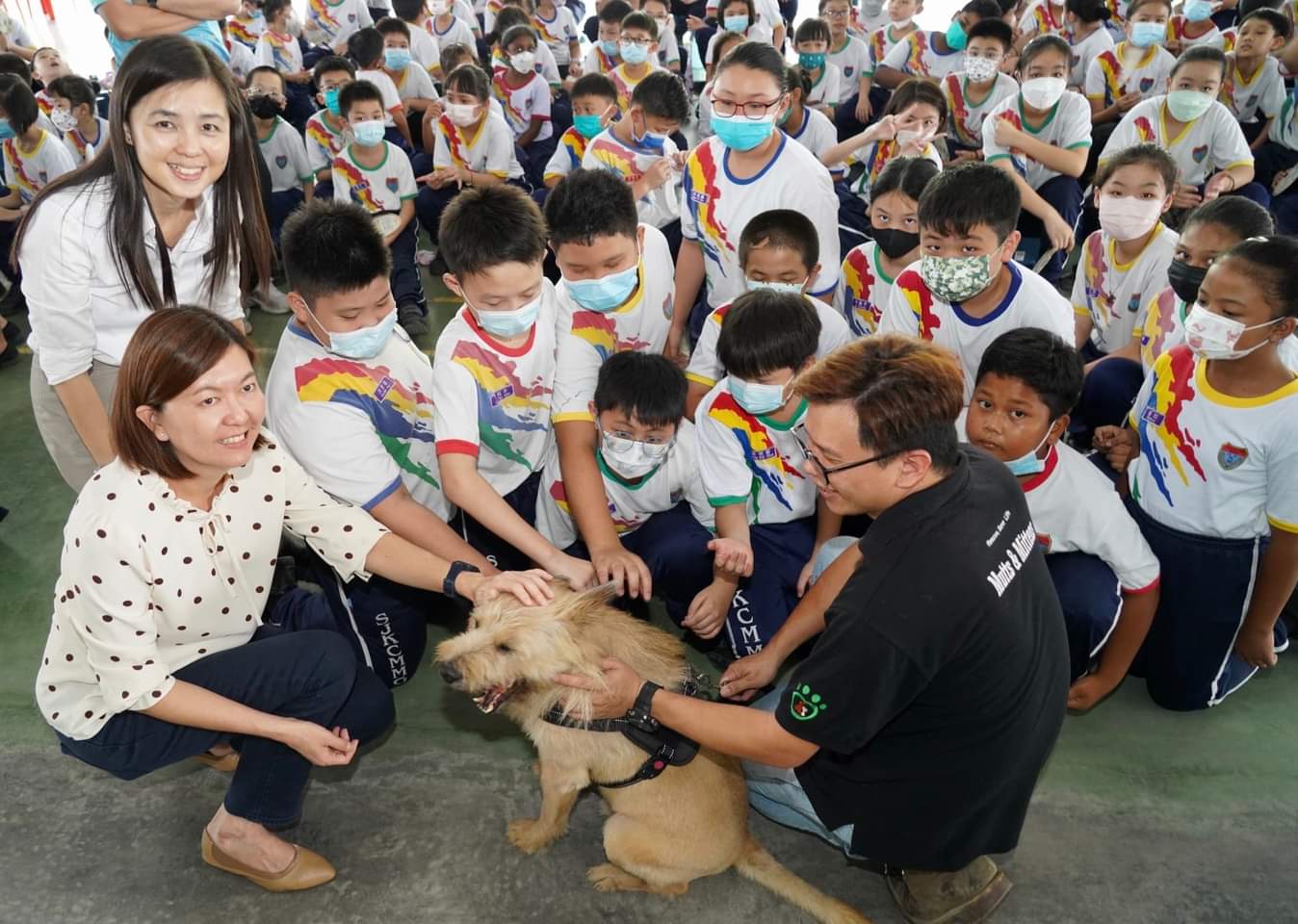 Campaign for Education and Awareness on Stray Animals in 9 Schools ...