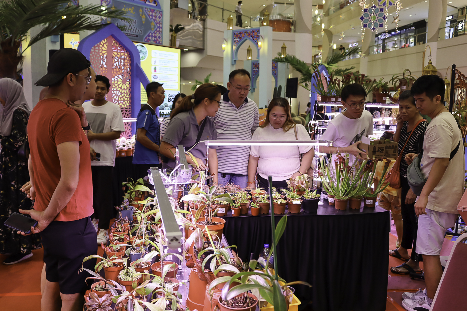 A Succ(essful) Plant Lovers Carnival at Ipoh Parade | Ipoh Echo