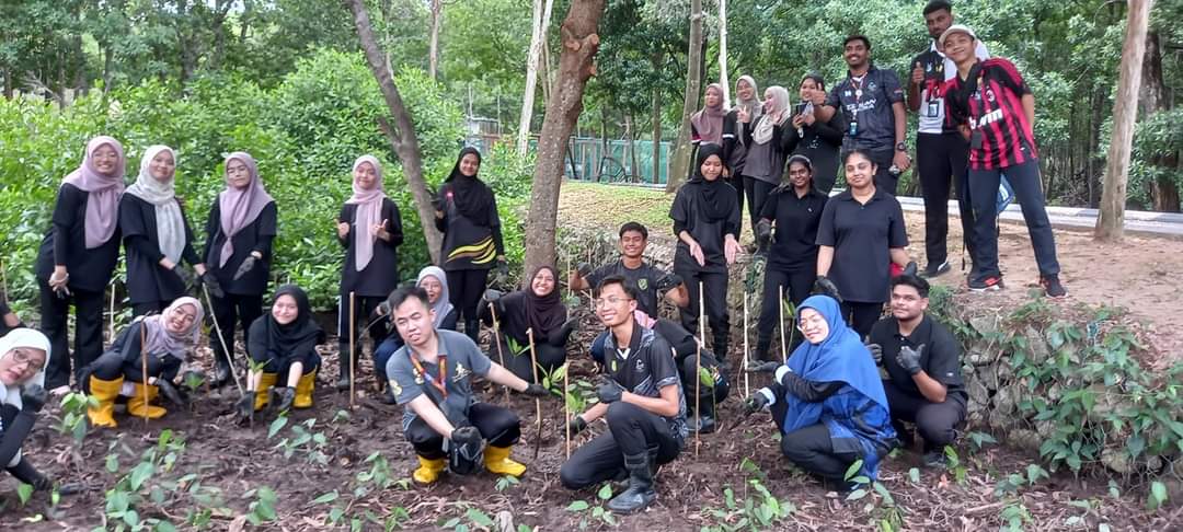 Students and lecturers PUO plant seeds for 340 mangrove trees | Ipoh Echo