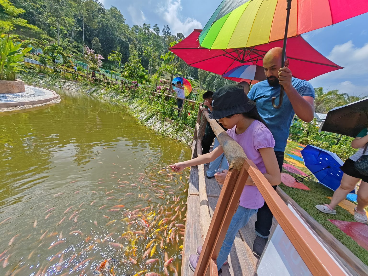 Zahara Garden, first in Perak to offer alpaca petting experience | Ipoh ...