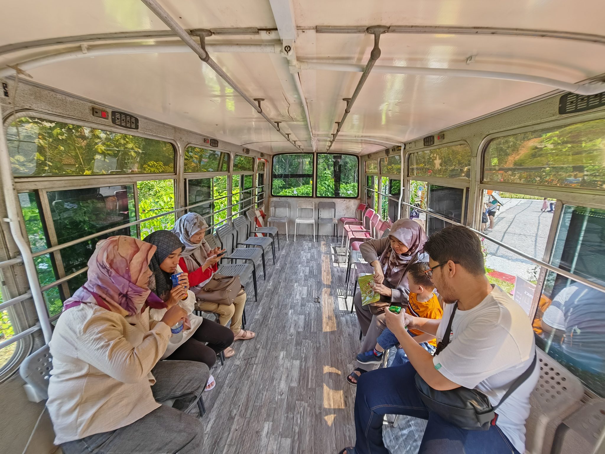 Zahara Garden, first in Perak to offer alpaca petting experience | Ipoh ...