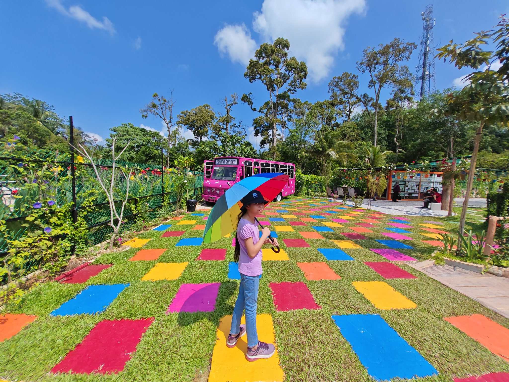 Zahara Garden, first in Perak to offer alpaca petting experience | Ipoh ...