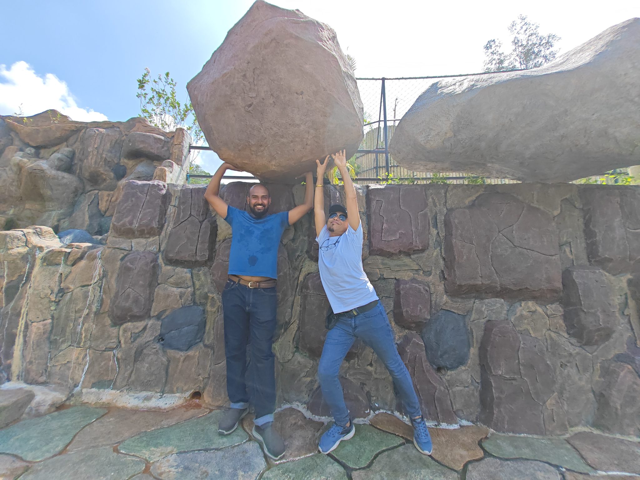 Zahara Garden, first in Perak to offer alpaca petting experience | Ipoh ...