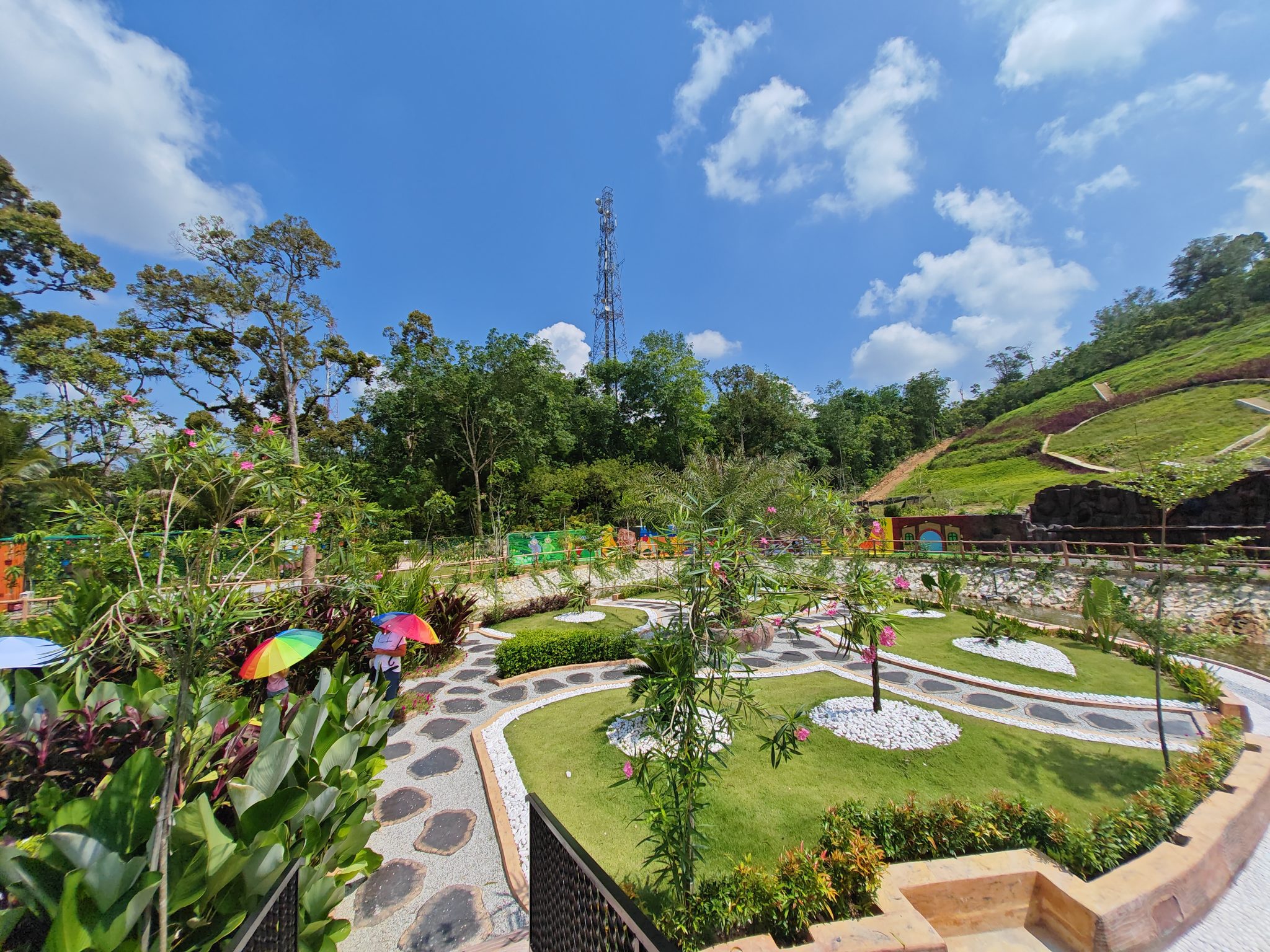 Zahara Garden, first in Perak to offer alpaca petting experience | Ipoh ...