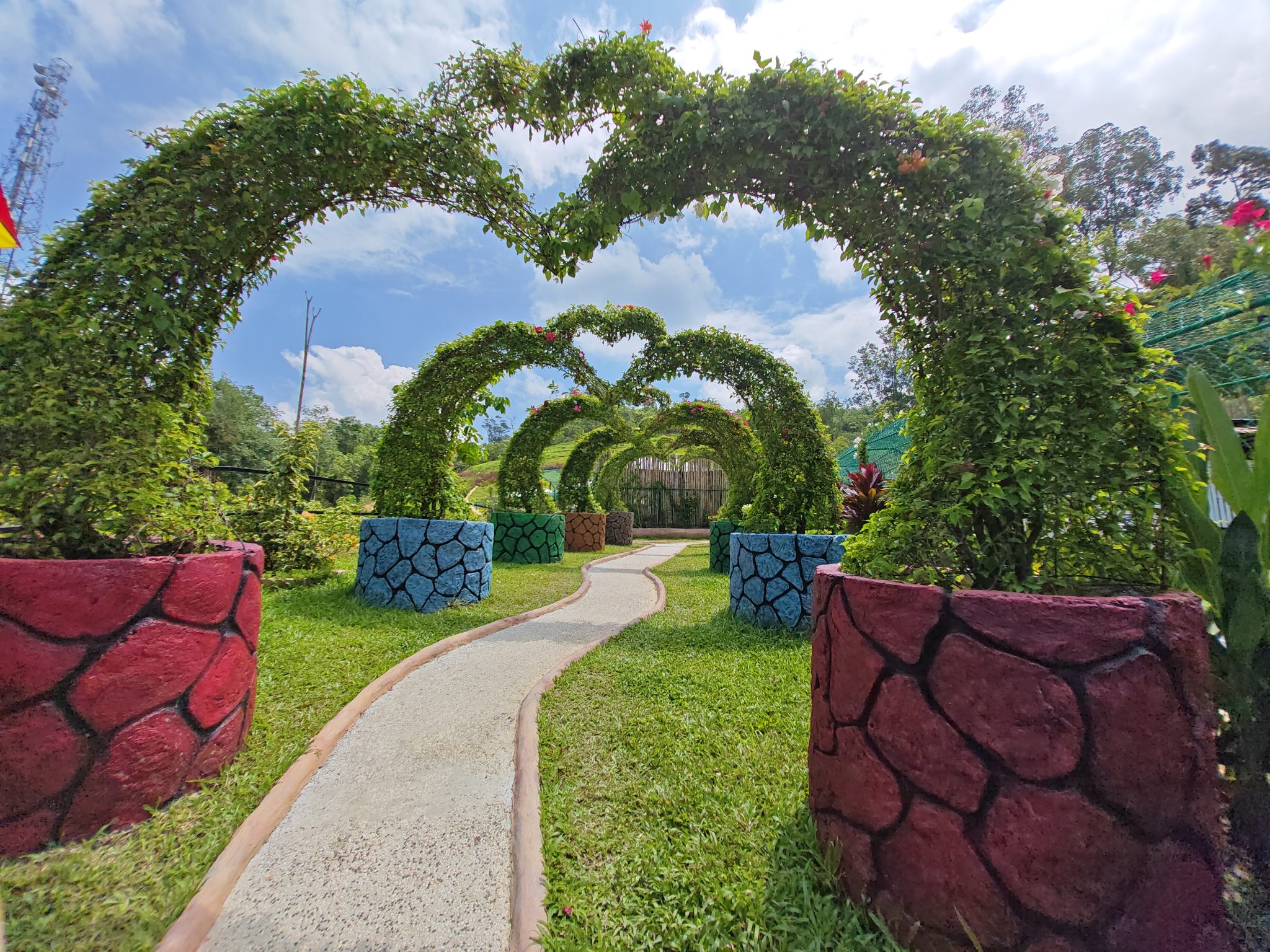 Zahara Garden, first in Perak to offer alpaca petting experience | Ipoh ...