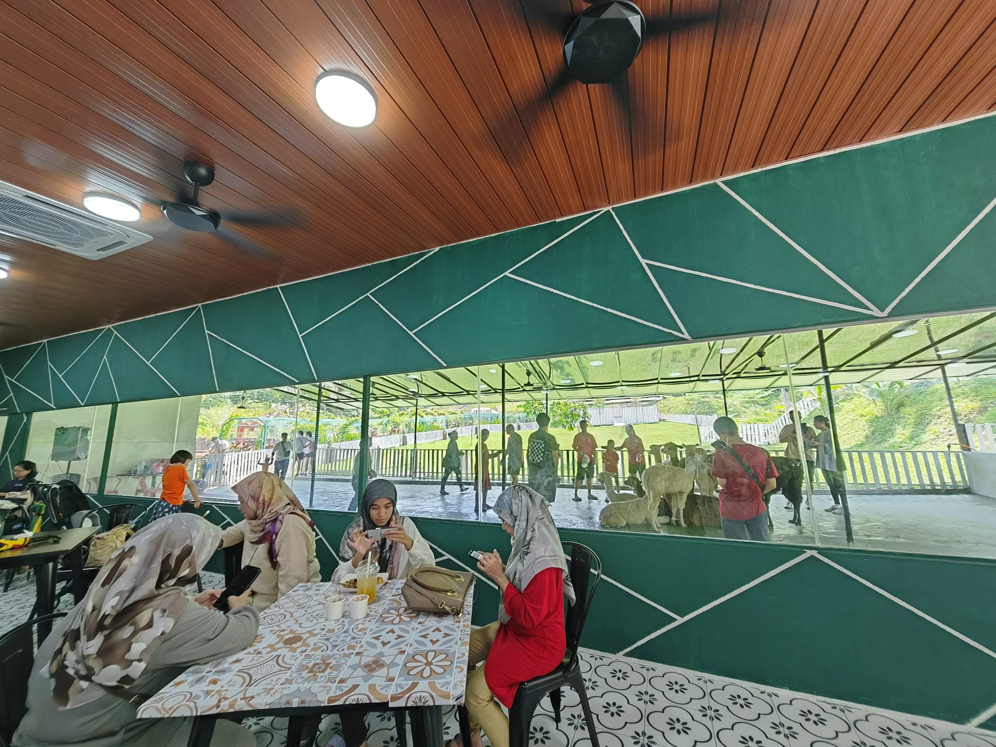 Zahara Garden, first in Perak to offer alpaca petting experience | Ipoh ...