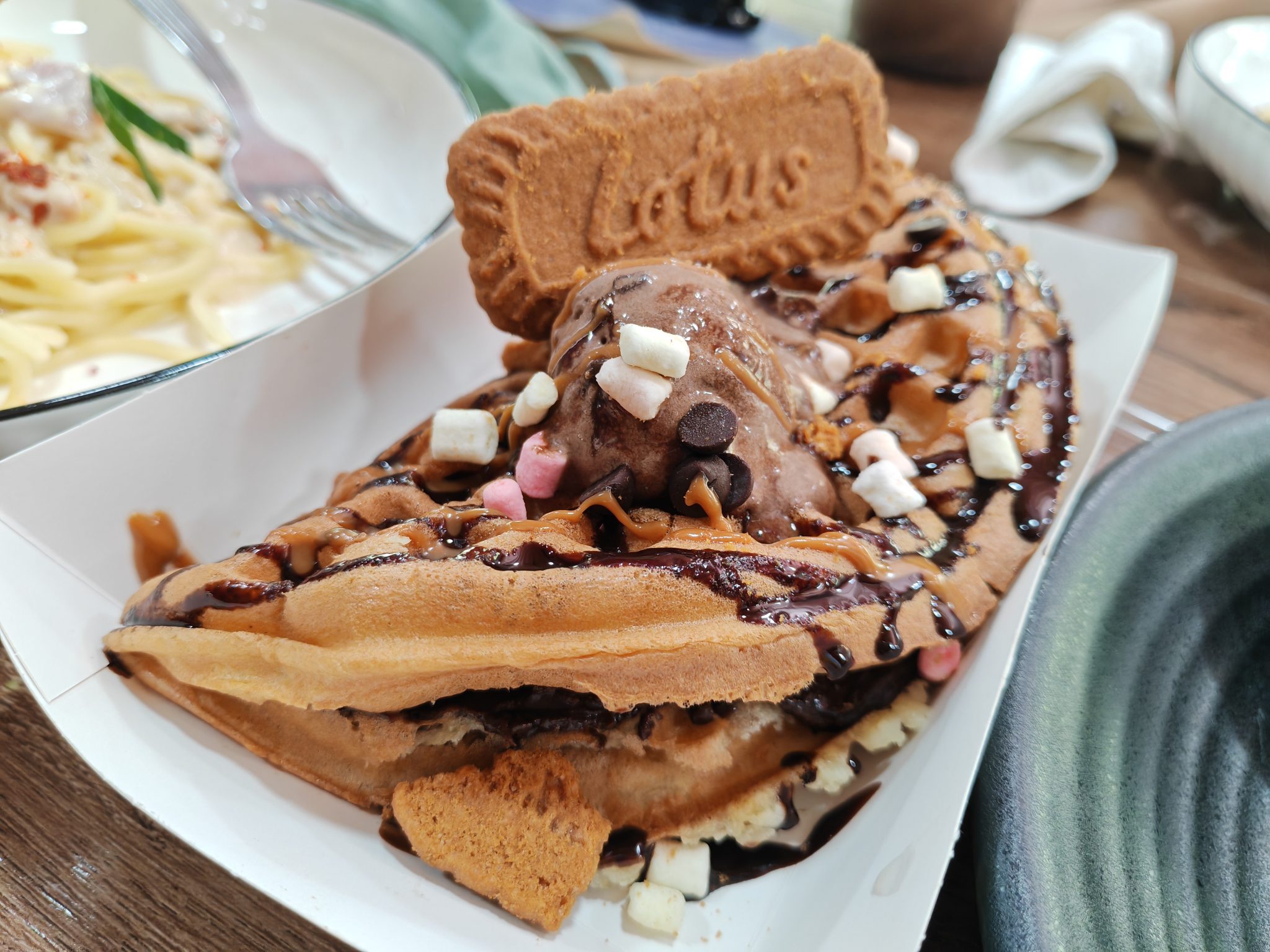 Zahara Garden, first in Perak to offer alpaca petting experience | Ipoh ...