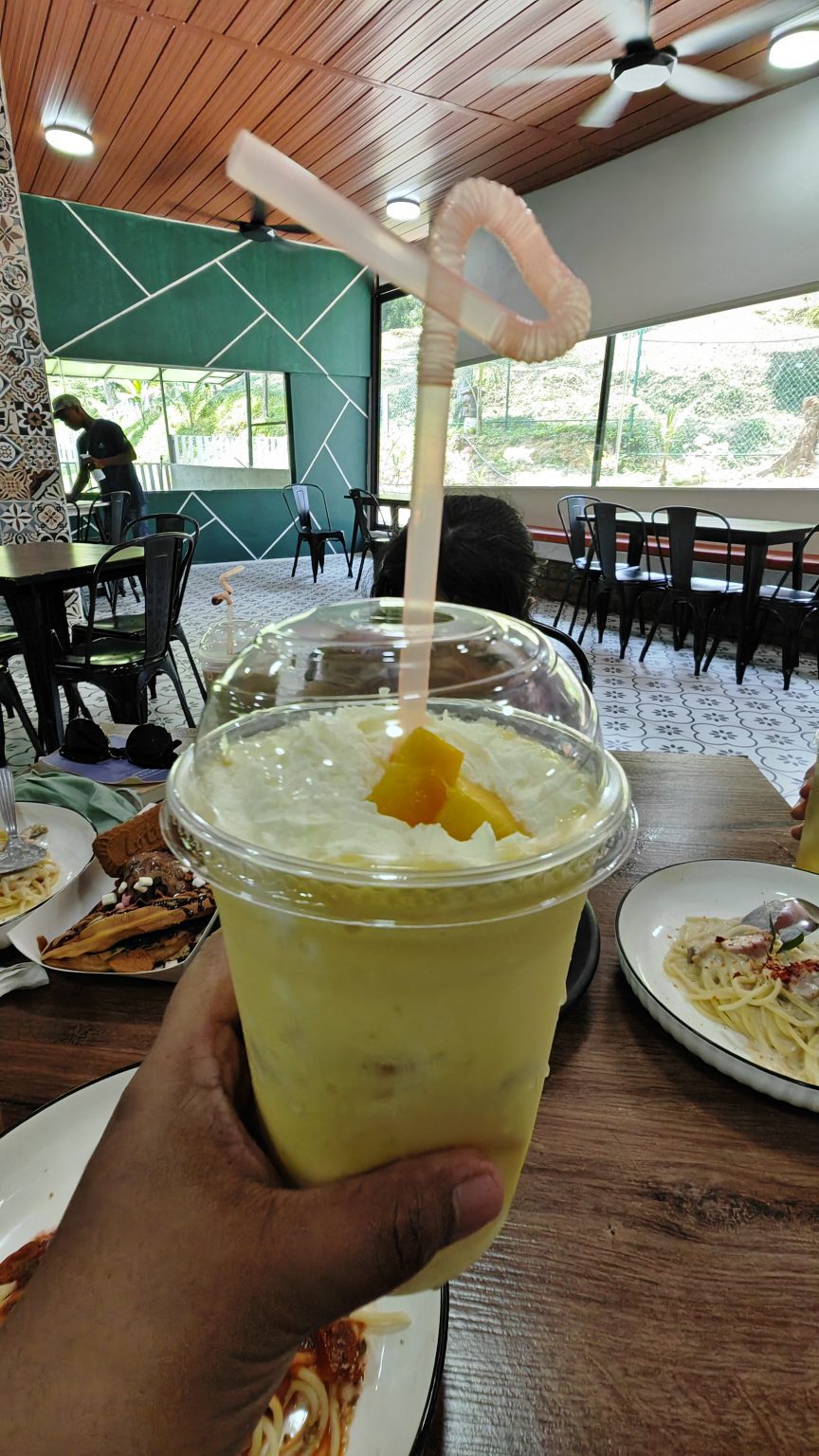 Zahara Garden, first in Perak to offer alpaca petting experience | Ipoh ...