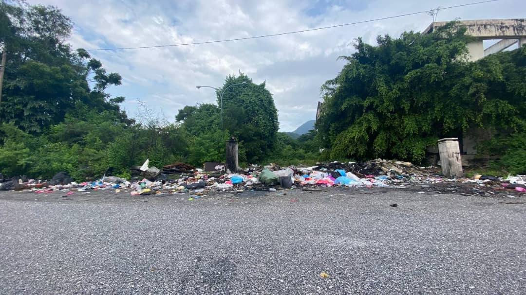 Litter is scattered everywhere, what action is Taman Seri Rapat's ...