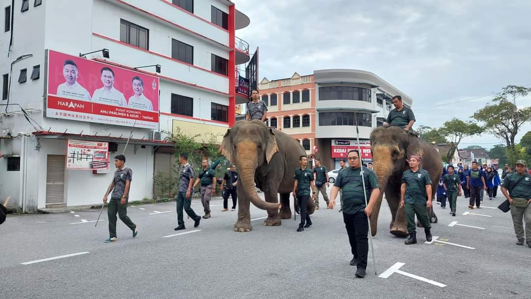 Pian and Rambai Liven Up the Taiping@150 Community Parade | Ipoh Echo