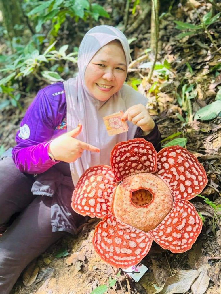 YB Salbiah Highlights the Attraction of the Rafflesia Flower in Kampung Bongor, Gerik | Ipoh Echo