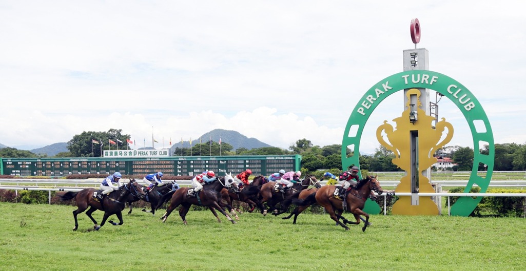 Perak Turf Club Charity Cup 2024 | Ipoh Echo