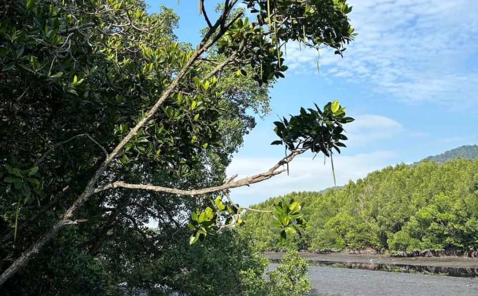 NGO Coalition Rakan Segari Expresses Concern Over Abolition of Segari ...