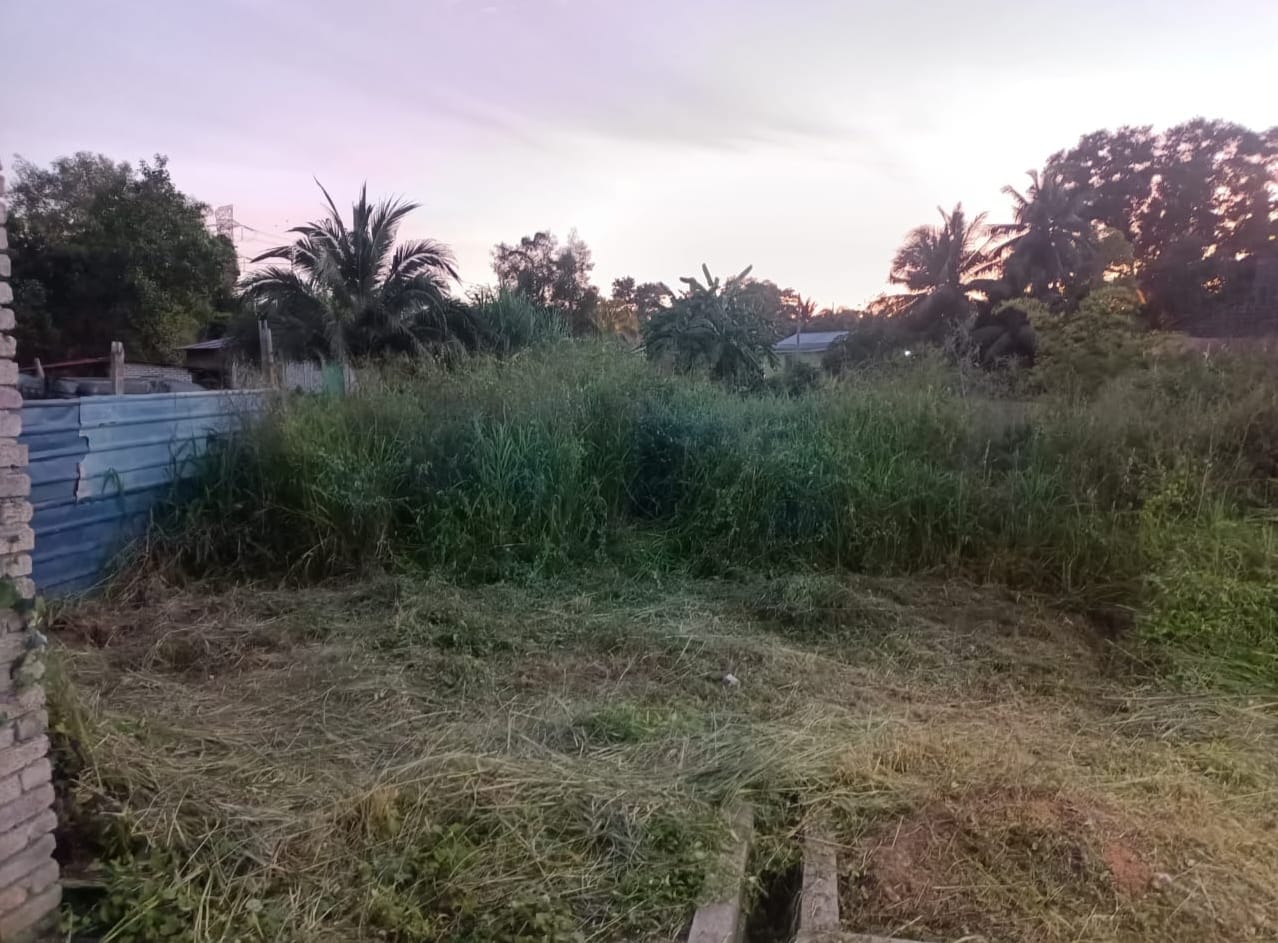 Baby boy found alive in bushes | Ipoh Echo