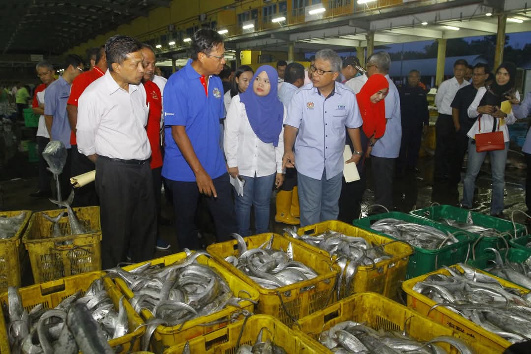 Sufficient fish supply during the festive season | Ipoh Echo