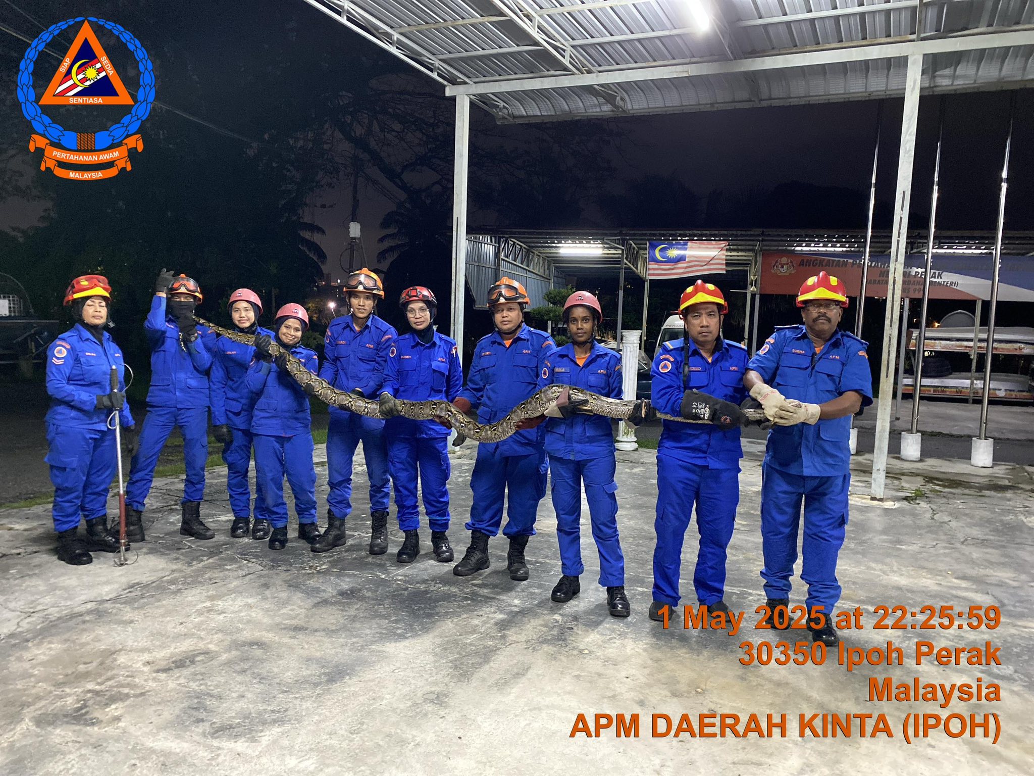 APM caught 15-foot Python hiding in college equipment store | Ipoh Echo