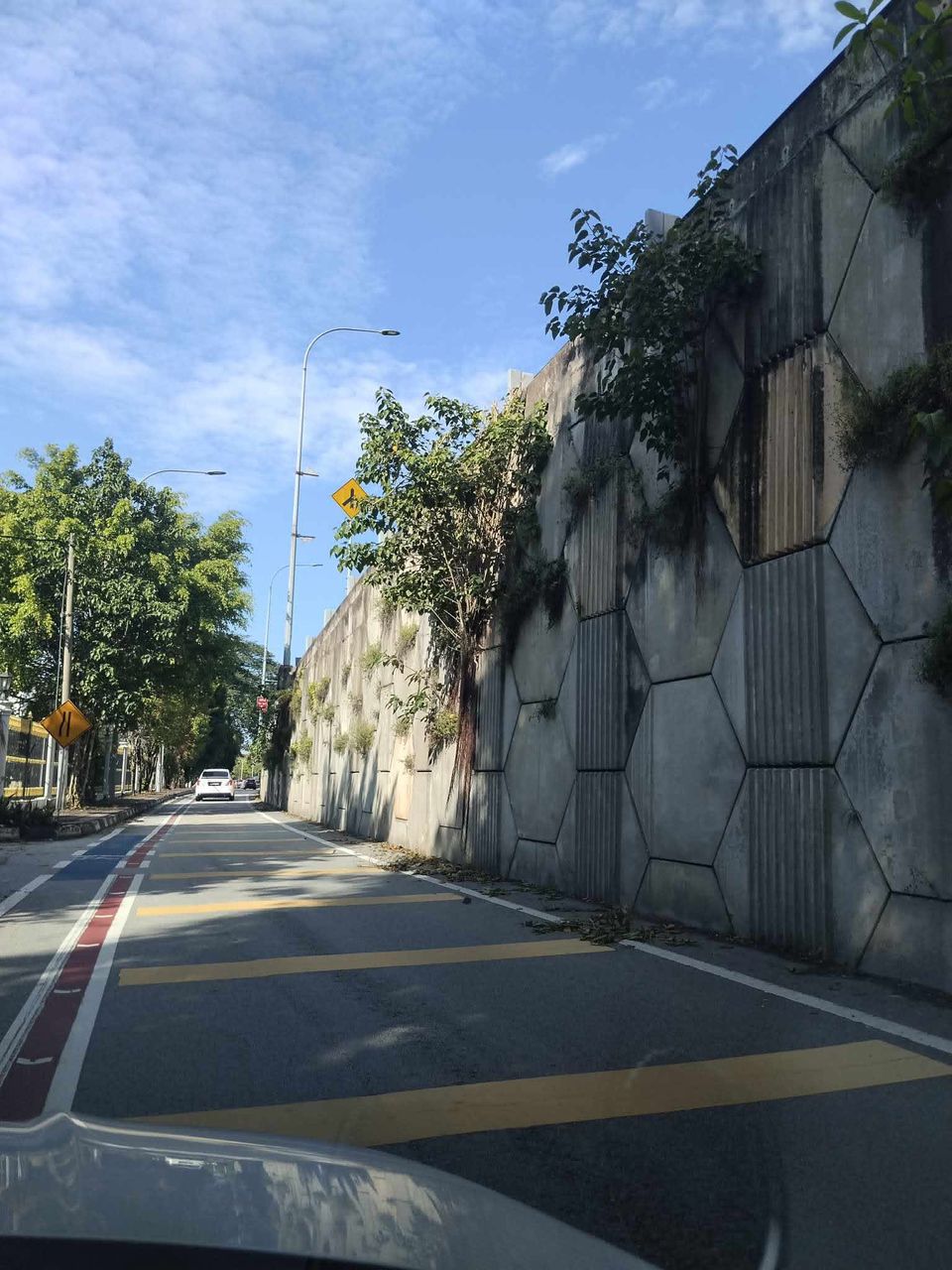 Overgrown vegetation on the flyover mars Ipoh’s image, calling for ...